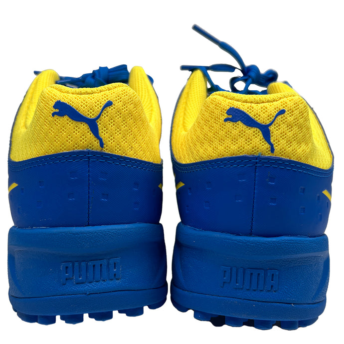 Puma 22.1 Spike Cricket Shoes - 2023 – CricketDirect