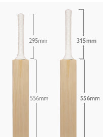 All About Cricket Bats – CricketDirect