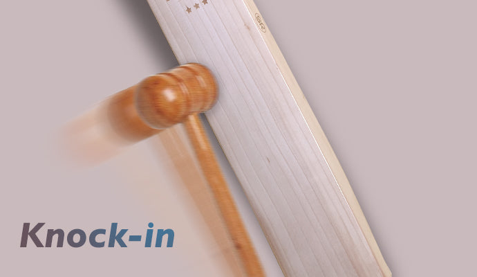 Bat Care Guide: The Basics – CricketDirect